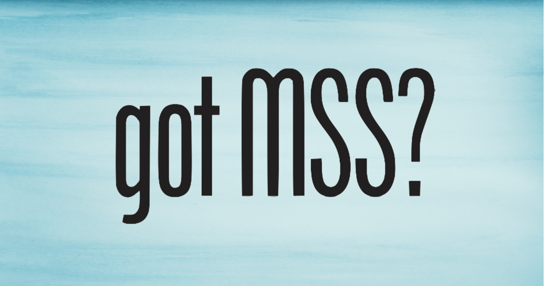 Minimum Security Standards (MSS) Lunch & Learns